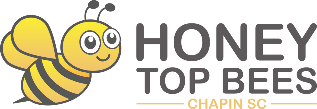 Parts of a Beehive EXPLAINED | Beekeeping for Absolute Beginners ...