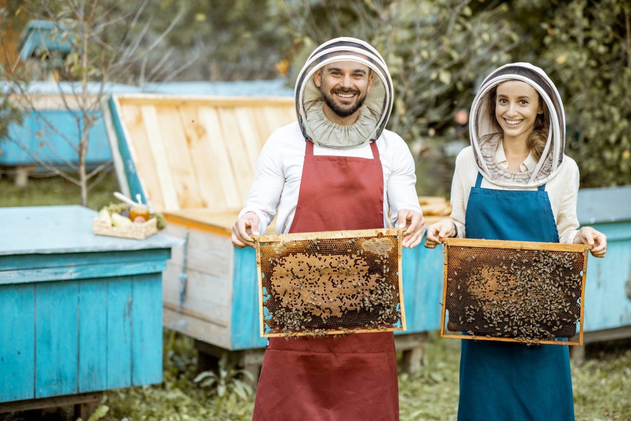 Beekeeping Classes - In person or online - Honey Top Bees
