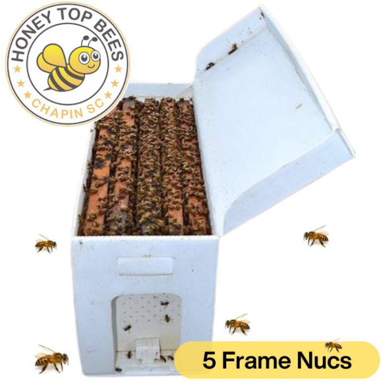 2026 Bees 5-Frame Nuc's - Honey Top Bees