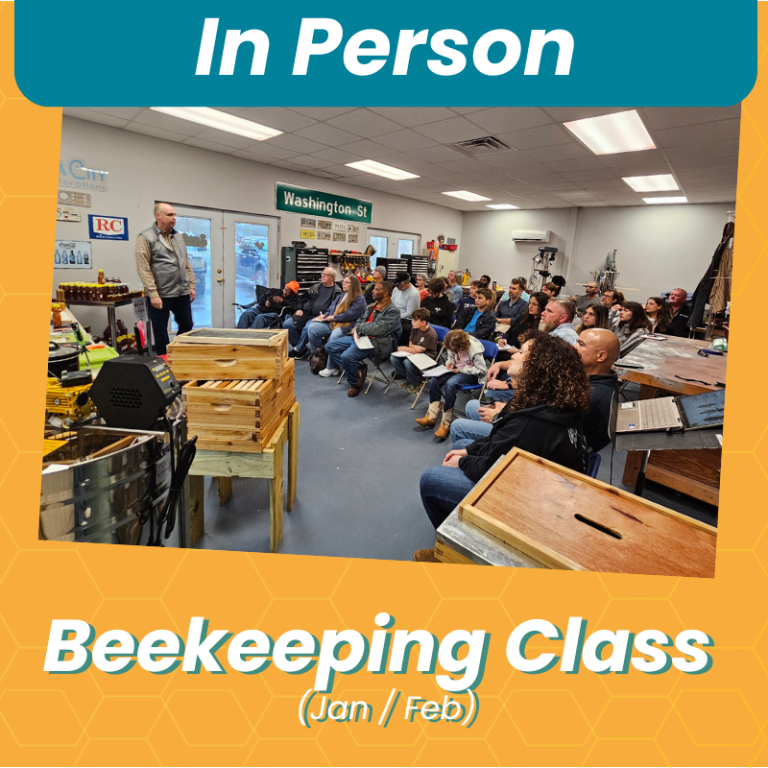 Beekeeping Classes - In person or online - Honey Top Bees