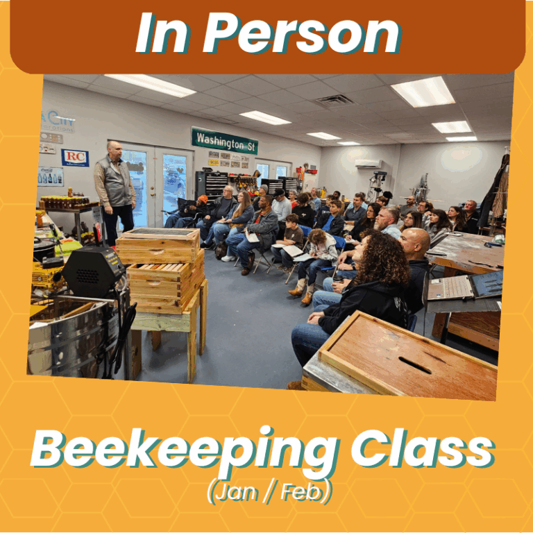 Beekeeping Classes - In person or online - Honey Top Bees